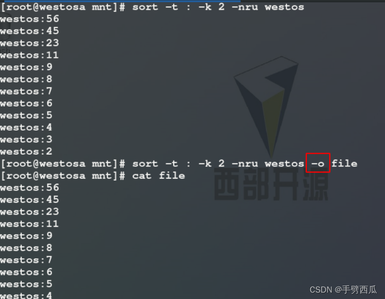 shell中的常用基础命令_shell sort -rn-CSDN博客