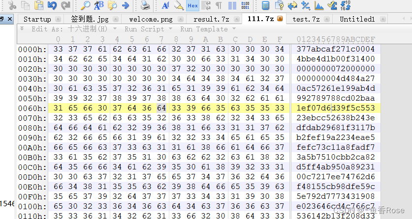 【CTFshow】Misc 50_ctfshow misc50-CSDN博客