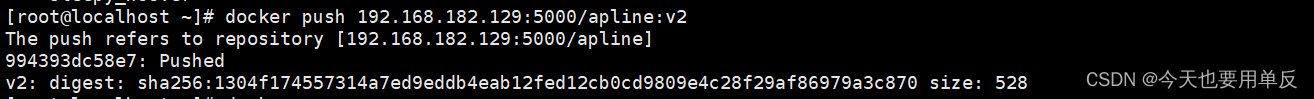 使用aliyun的registry上传下载镜像以及使用registry镜像运行容器上传下载镜像_registry.tar.gz docker镜像 下载-CSDN博客