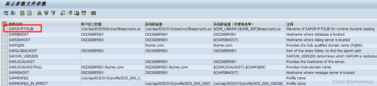 SAP 配置SSL/HTTPS服务_sap ssl-CSDN博客