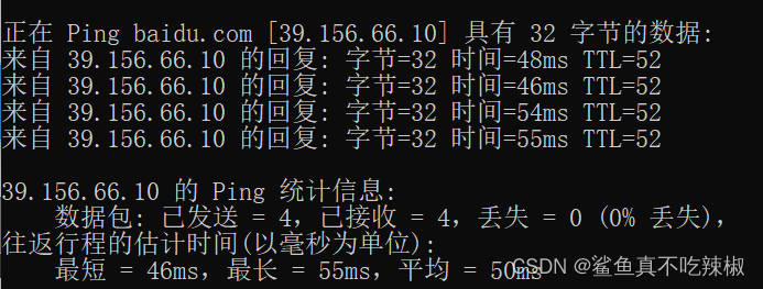 Ping自用_ping10条-CSDN博客