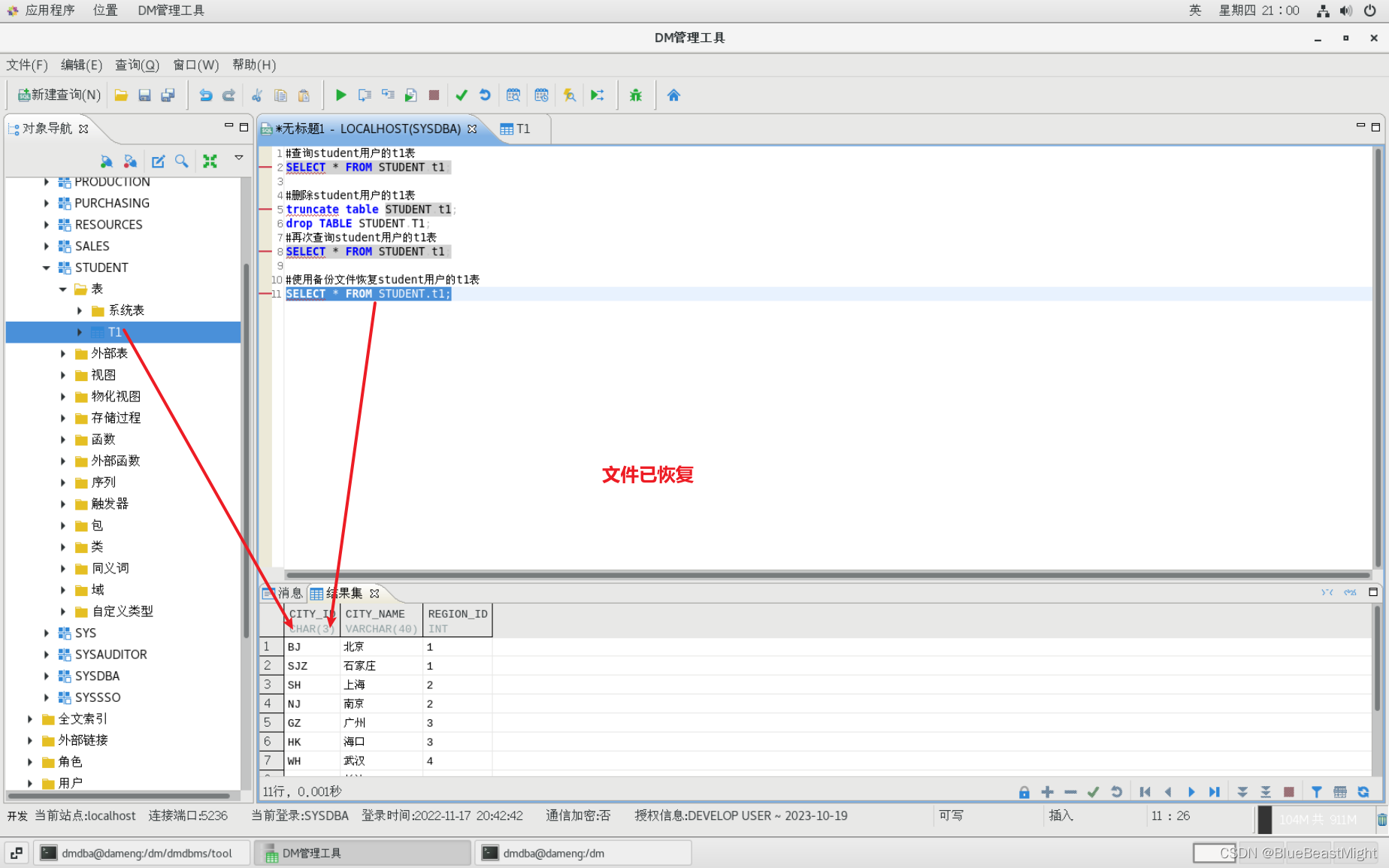 四、DM Manager工具使用_dm数据库连接工具-CSDN博客
