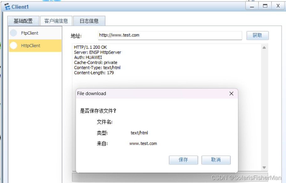 Ensp实验：dns解析 Ensp Dns Csdn博客