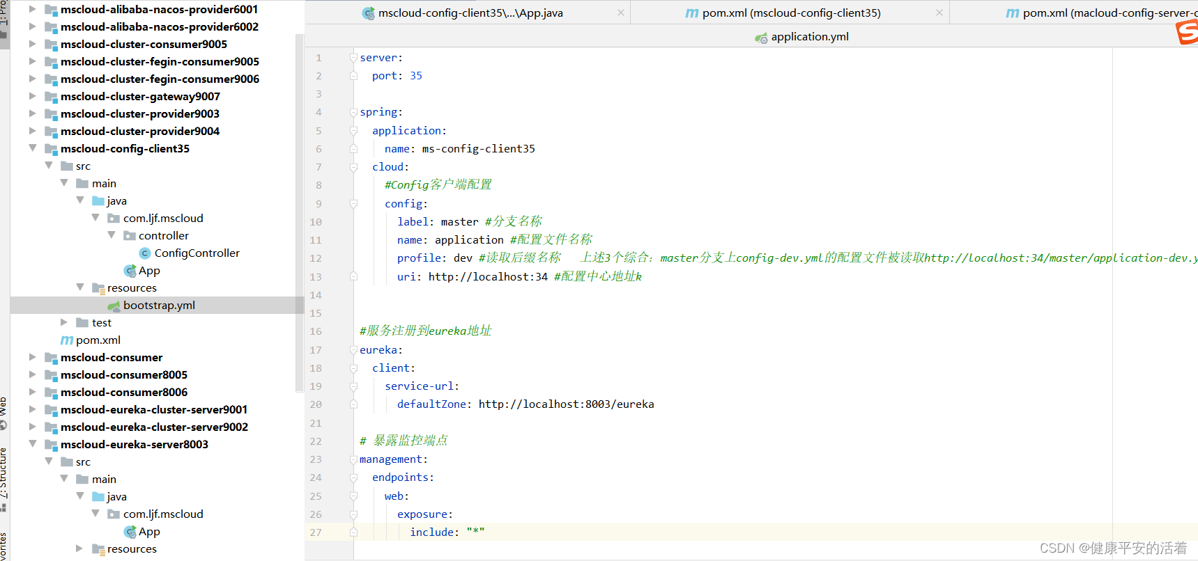 springcloud3 springcloud-config章节-集中配置案例_spring cloud配置文件示例-CSDN博客