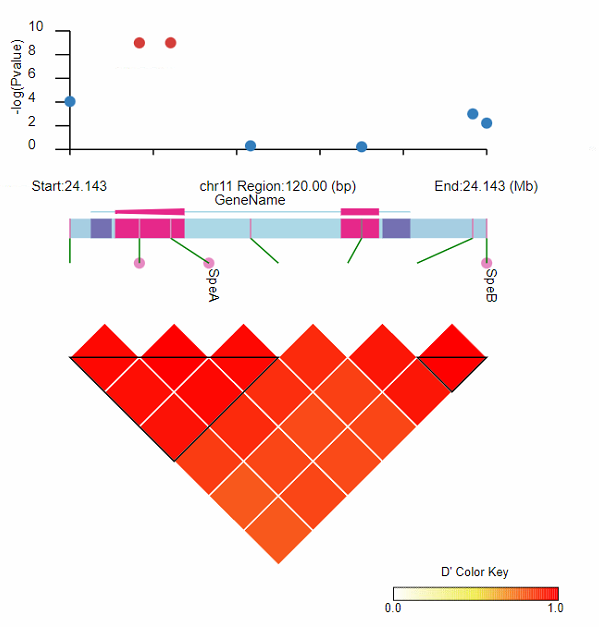 LDblock绘制连锁不平衡和单体型图_ldblockshow-CSDN博客