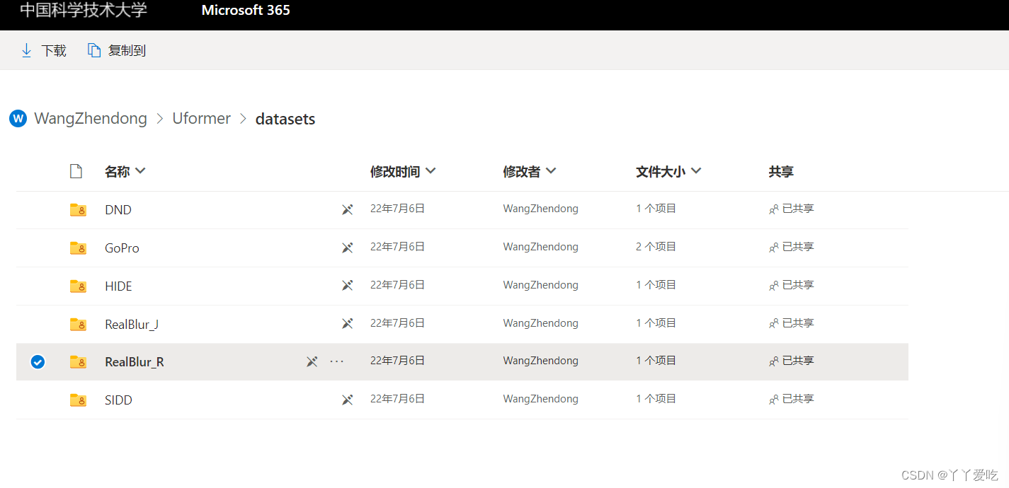调试Ufromer代码Uformer: A General U-Shaped Transformer for Image ...