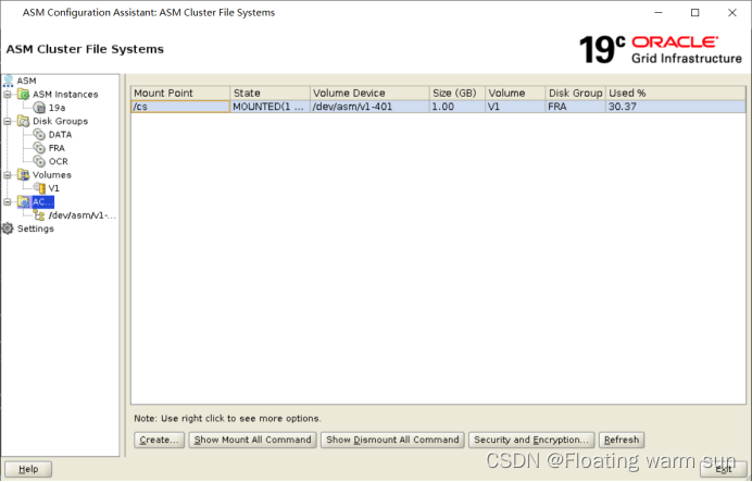 Oracle 19C RAC创建ADVM和ACFS_oracle 19c acfs代理实例-CSDN博客
