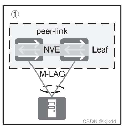 叶脊网络实战 - 设计物理网络（一）_border leaf-CSDN博客