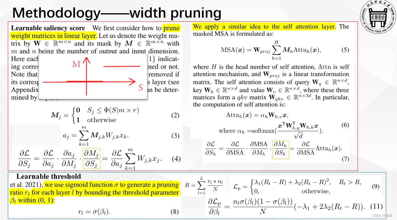Width & Depth Pruning for Vision Transformers-CSDN博客
