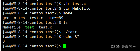 【linux】进程控制——1_进程脱离-CSDN博客