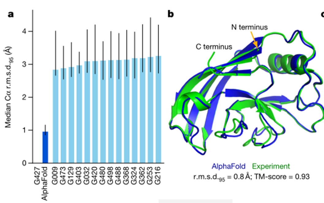 【论文分享】AF2:Highly accurate protein structure prediction with AlphaFold-CSDN博客