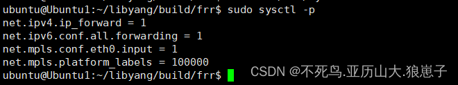 FRR（1）：Ubuntu环境上在LXC内安装FRR_linux frr-CSDN博客