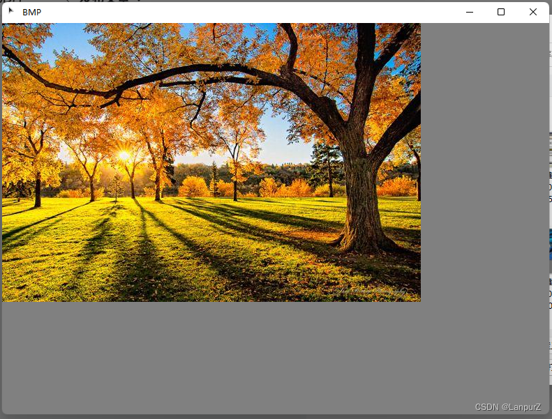 解析BMP格式图片_010editor中显示图片结构-CSDN博客