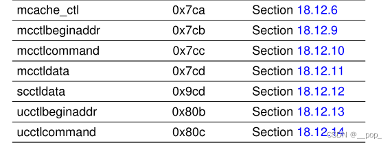 RISCV 的 cache_riscv cache-CSDN博客