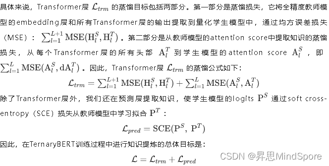 让BERT瘦下来 MindSpore量化训练极低比特语言模型 TernaryBERT_bert量化感知训练-CSDN博客