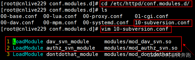 Linux服务器搭建SVN服务_linux安装svn服务器搭建-CSDN博客