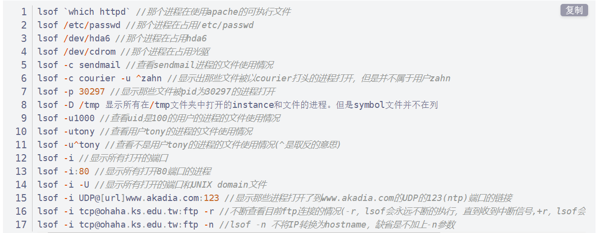 Linux工作中常用的命令netstat、lsof、ps区别_lsof ps或者netstate-CSDN博客