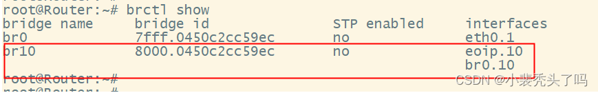 EOIP、VLAN详解及具体配置图解-CSDN博客