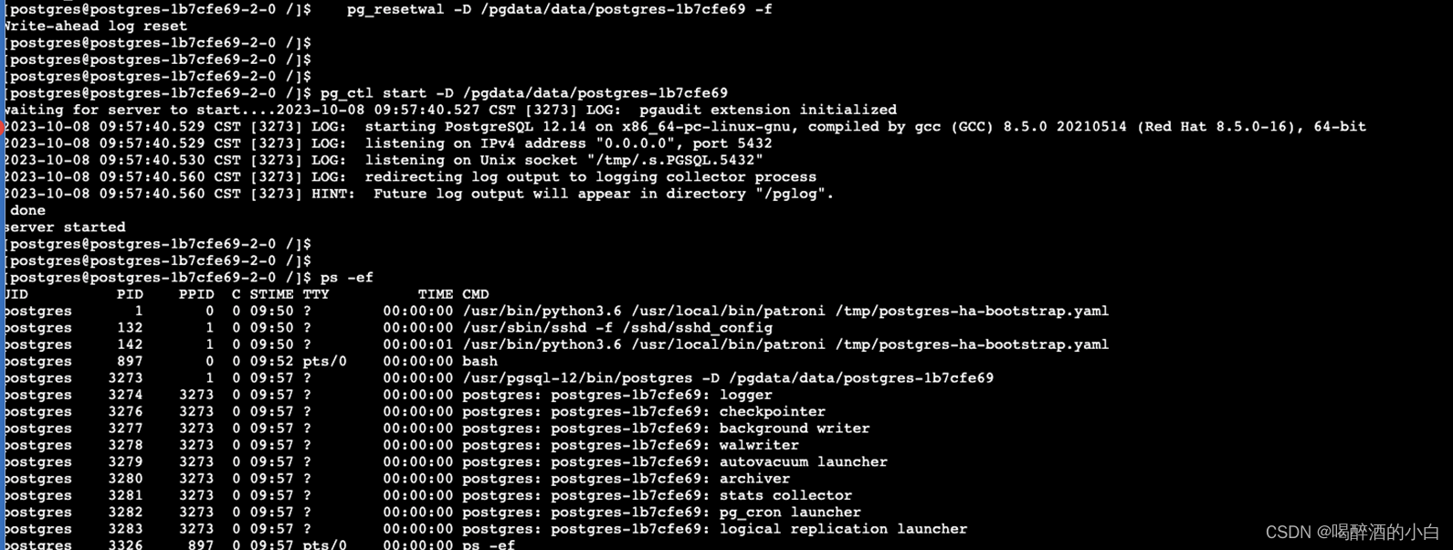 Pg主库的pg Wal日志删除如何恢复 Postgresql主库wal已删除 备库未同步 Csdn博客
