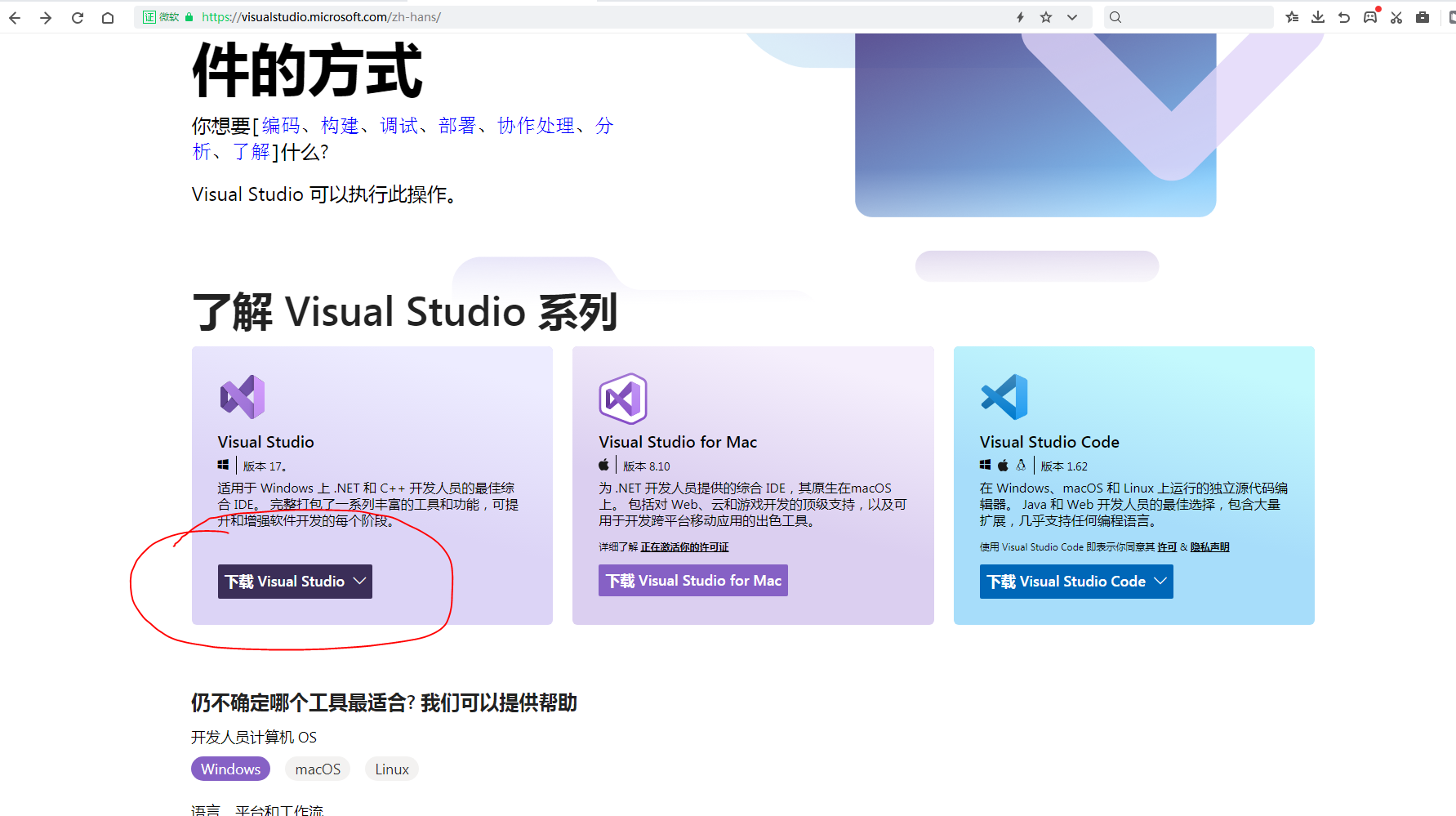 微软官方网站下载 Visual Studio 2019 各版本_visual studio2019官网下载-CSDN博客