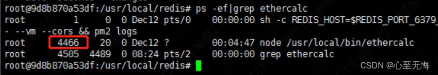 【记录】CentOS7(Linux)通过Docker部署Ethercalc(含redis）-CSDN博客