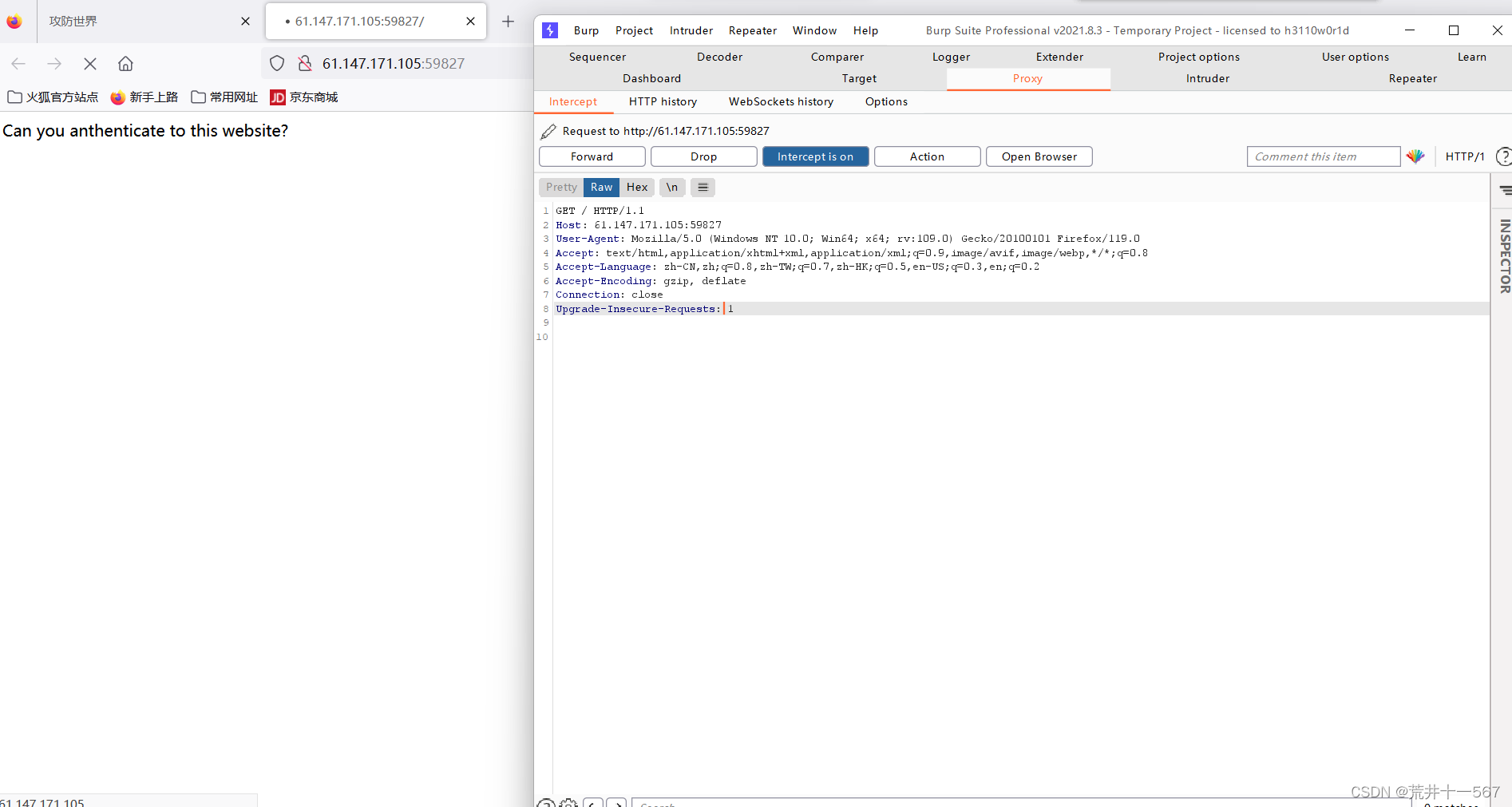 攻防世界 web新手关-CSDN博客