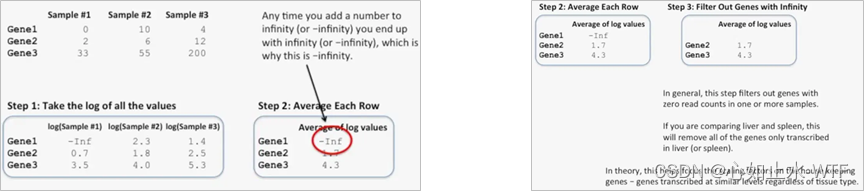 DEseq2 差异分析基本原理-CSDN博客