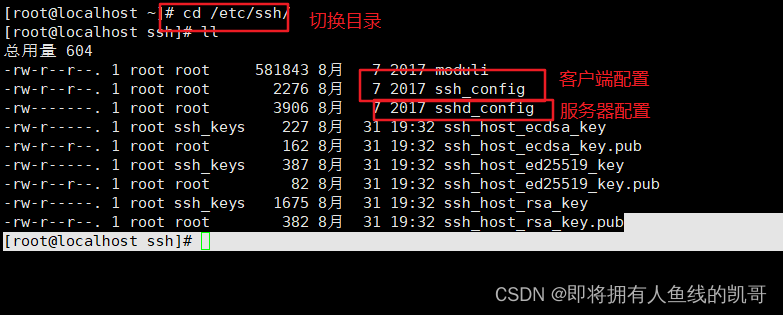 Linux中远程访问和控制(ssh和tcp Wrappers)sship10086 Csdn博客