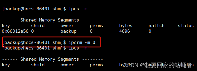 【Linux】共享内存（超详细！）_linux 共享内存-CSDN博客