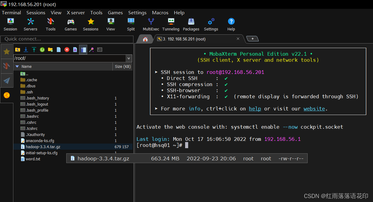 Vm Virtualbox 实现 Hadoop 334集群搭建vm虚拟机实现集群 Csdn博客