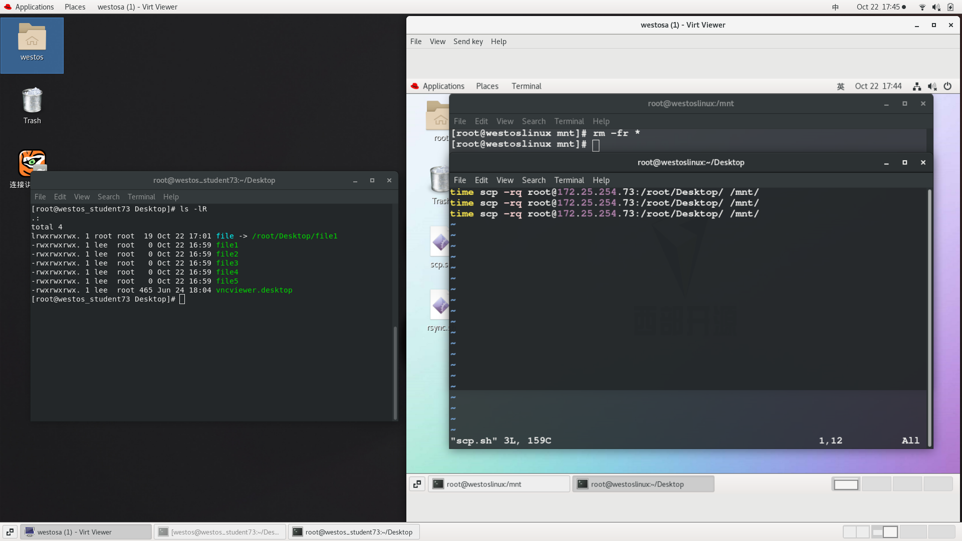 7.Linux系统下的文件传输_csp传输文件-CSDN博客