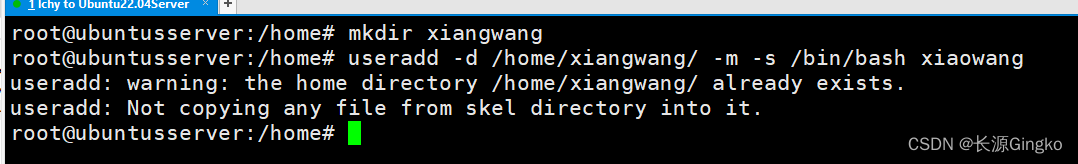 Ubuntu中用useradd创建用户时没指定家目录和shell版本，就不能su切换到新用户_ubuntu创建用户没有家目录-CSDN博客