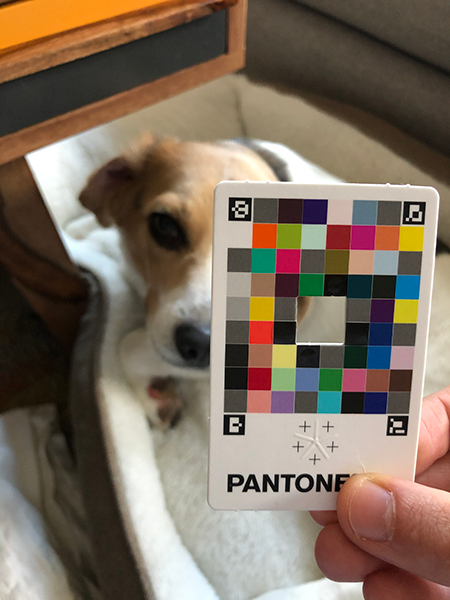 OpenCV基础（20）使用 OpenCV 和 Python 确定 ArUco 标记类型_aruco 标签类型-CSDN博客