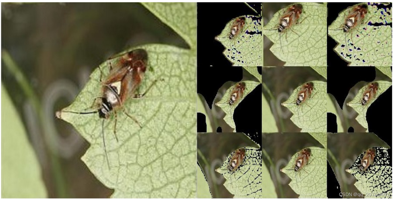 【农业害虫论文阅读三】Insect pest image detection and recognition based on bio ...