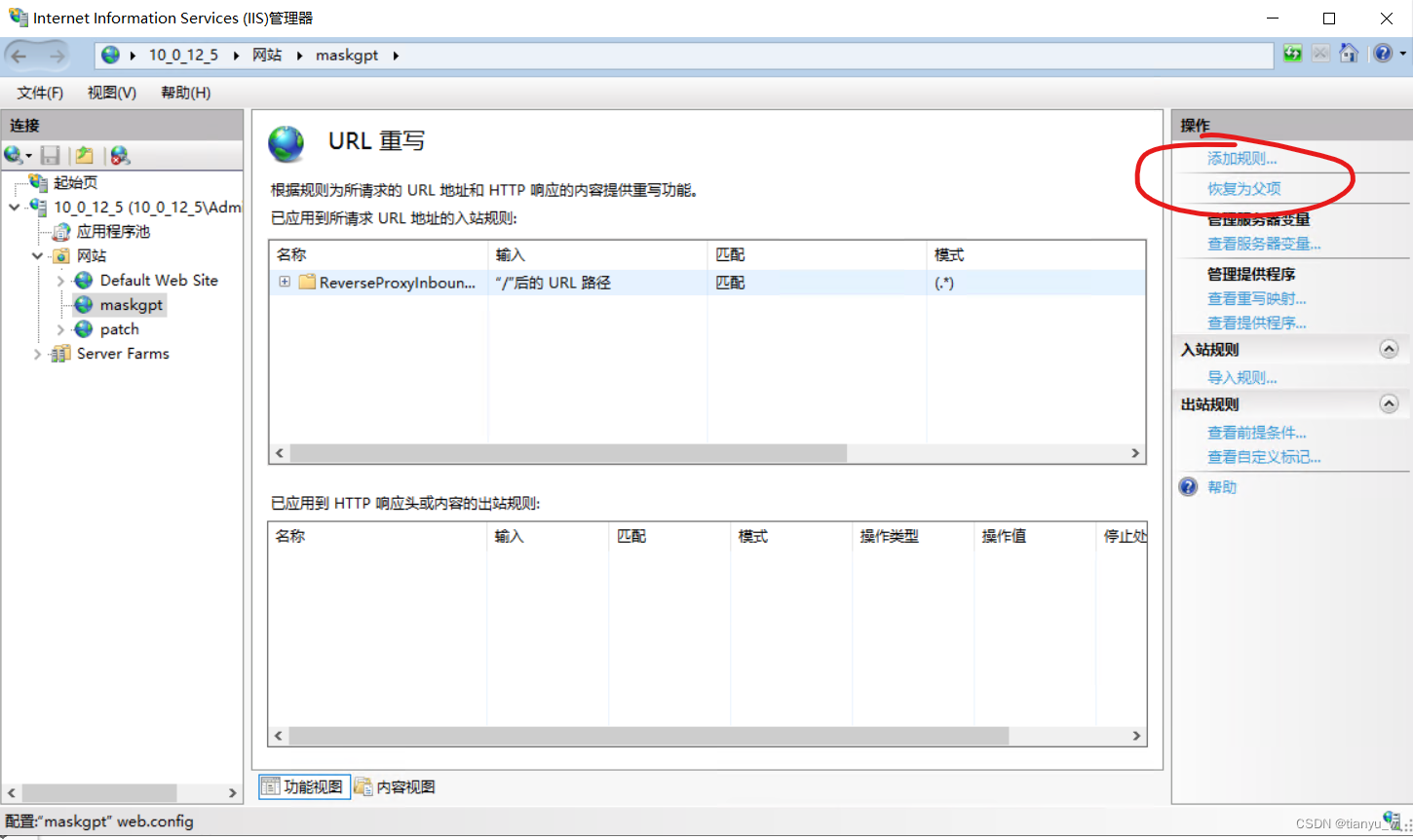 如何使用iis进行反向代理(使用iis进行端口转发)_iis 反向代理-CSDN博客