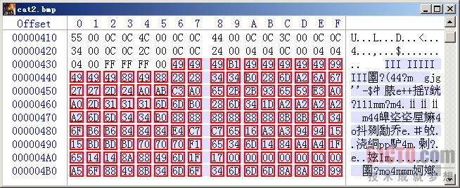 BMP格式详解-CSDN博客