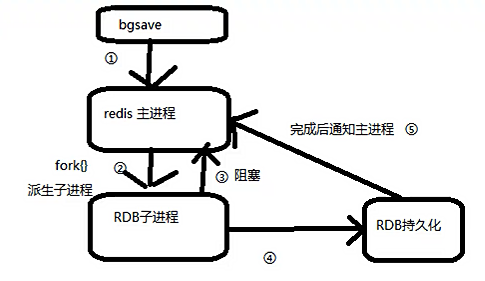 nginx+tomcat+redis*+mysql（redis重点）_nginx+tomcat+redis+mysql-CSDN博客