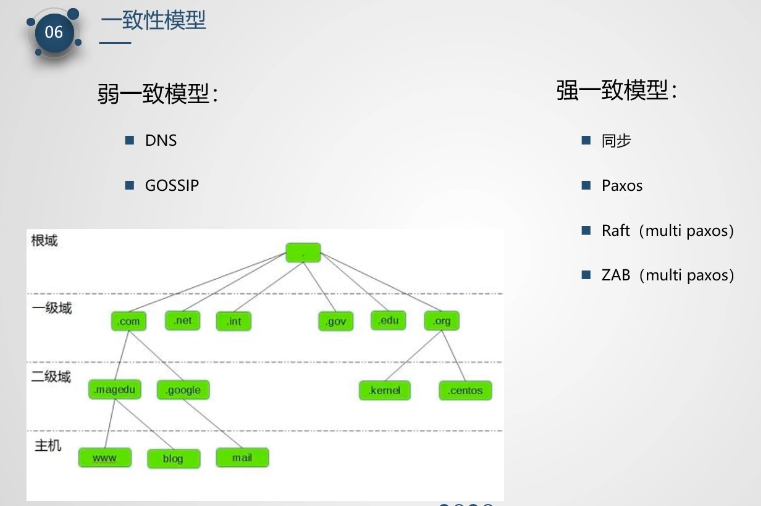 Paxos协议之Basic Paxos/Multi Paxos_multipaxos中的leader和proposer-CSDN博客