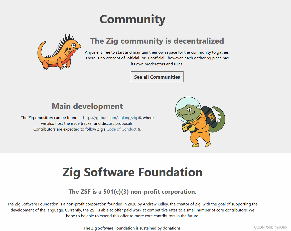 什么是Zig? Zig为什么成为最赚钱的语言? 编程语言Zig是什么? 编程语言Zig：简单、安全、高效的系统级编程语言-CSDN博客
