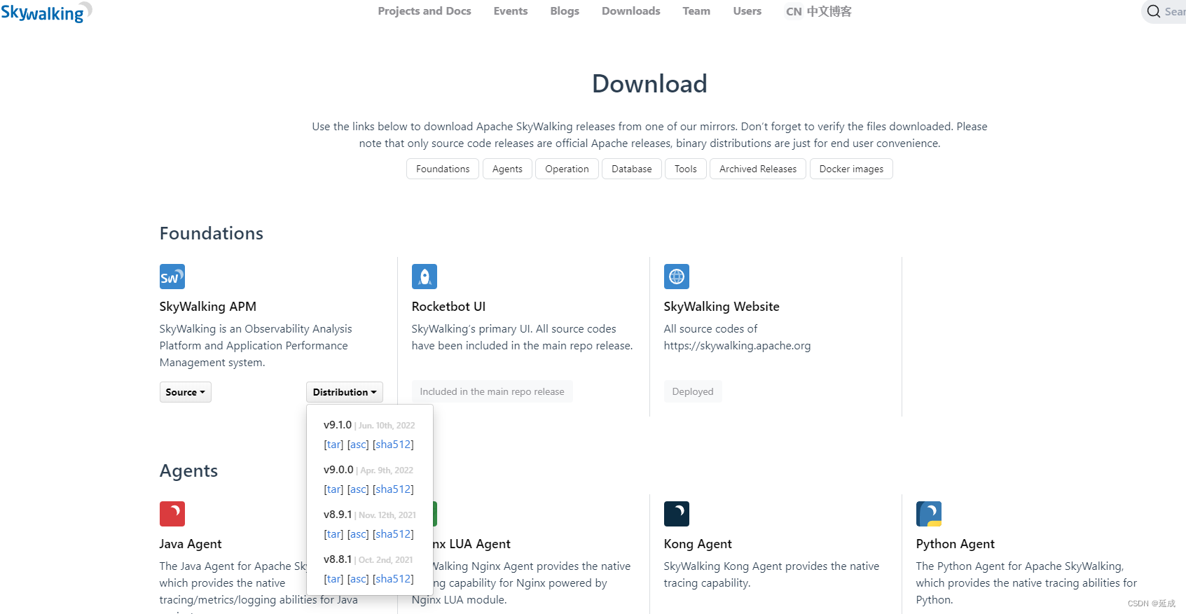 SkyWalking_skywalking tls-CSDN博客