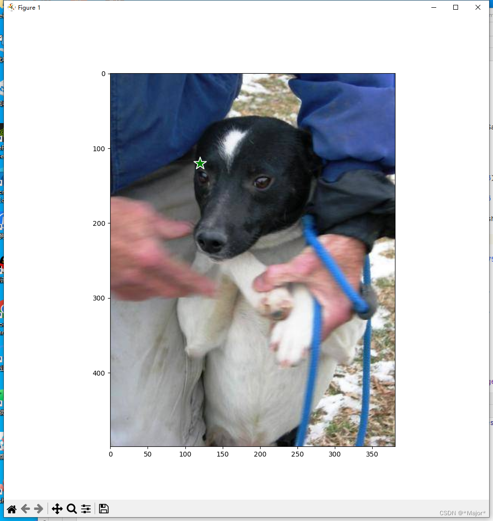 SAM（Segment Anythinhg Model）基础使用-CSDN博客