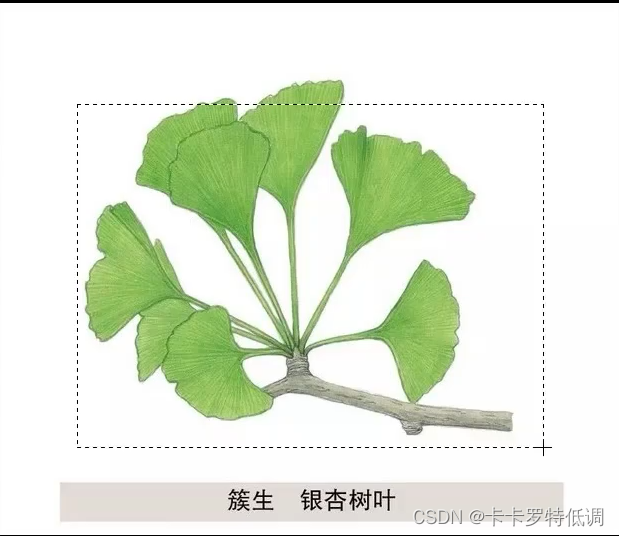 植被制作学习笔记_交叉对生-CSDN博客