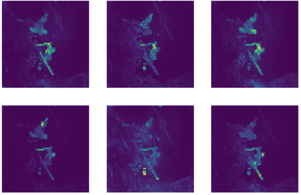 DINO 自监督算法简介_dino算法-CSDN博客