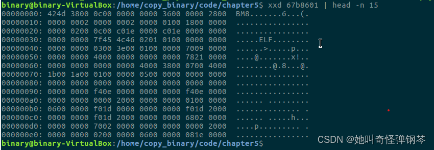 【5】ctf二进制分析实例payload+二进制基础工具介绍objdump etc_ctf,strings、strace使用教程-CSDN博客