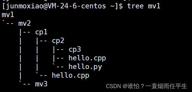 【Linux】常见指令_linux epoch-CSDN博客