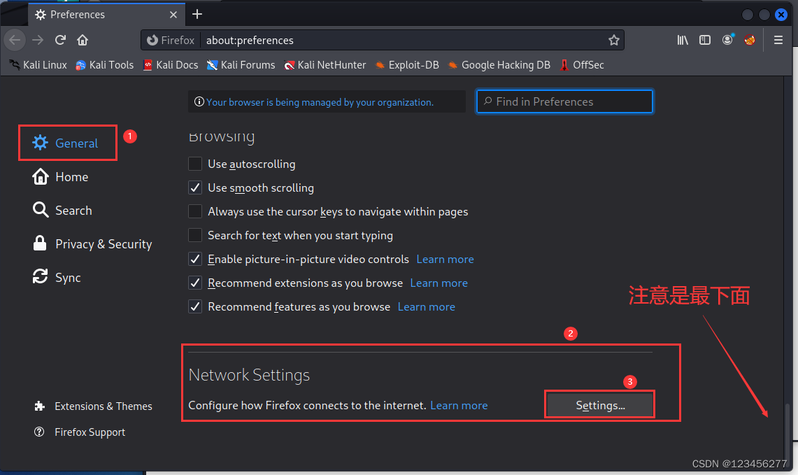 Kali Linux自带firefox Esr设置代理kali火狐浏览器设置代理 Csdn博客 