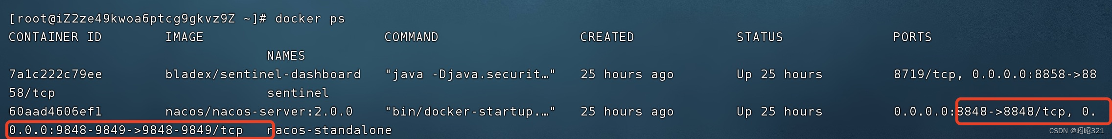 【最佳】Server check fail, please check server x.x.x.x ,port 9848 is available , error ={}_server ...