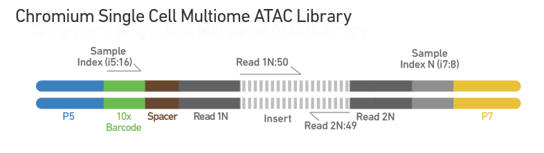 实验记录 | scATAC-seq数据的比对（一）_atac-seq测序数据q30-CSDN博客