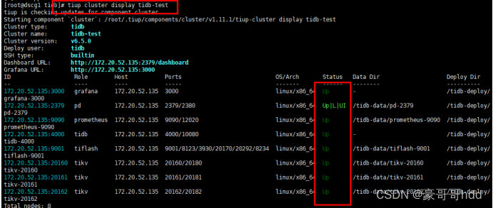 tidb数据库的安装与部署_tidb安装部署-CSDN博客